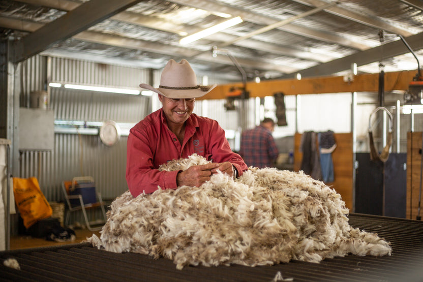What is Merino Wool? A Parent’s Guide to Its Benefits for Kids – Sweet ...